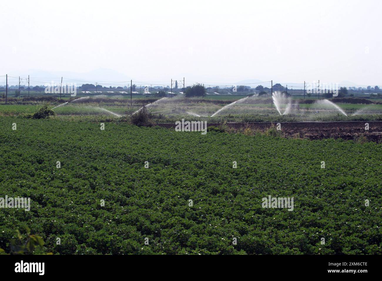 Impact sprinklers hi-res stock photography and images - Alamy