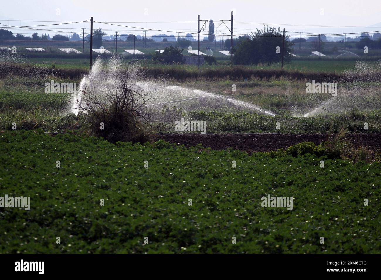 Large sprinklers hi-res stock photography and images - Alamy