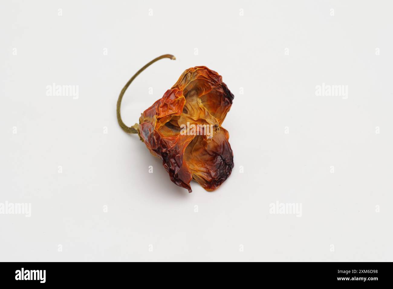 Hot pepper Bishop's crown on a white background Stock Photo - Alamy