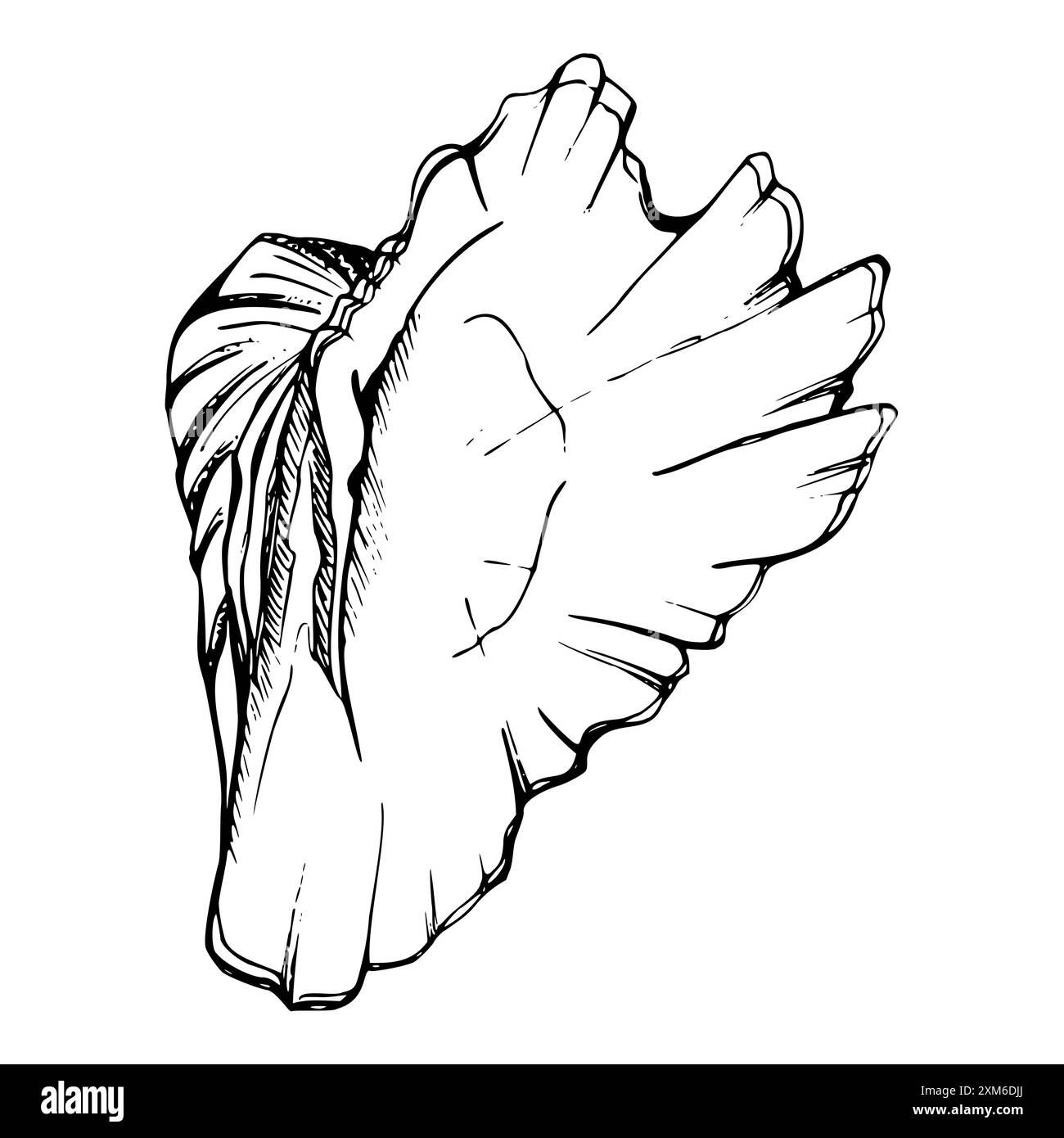 Marine life, sea ocean underwater creatures fish, shells algae seaweed ...