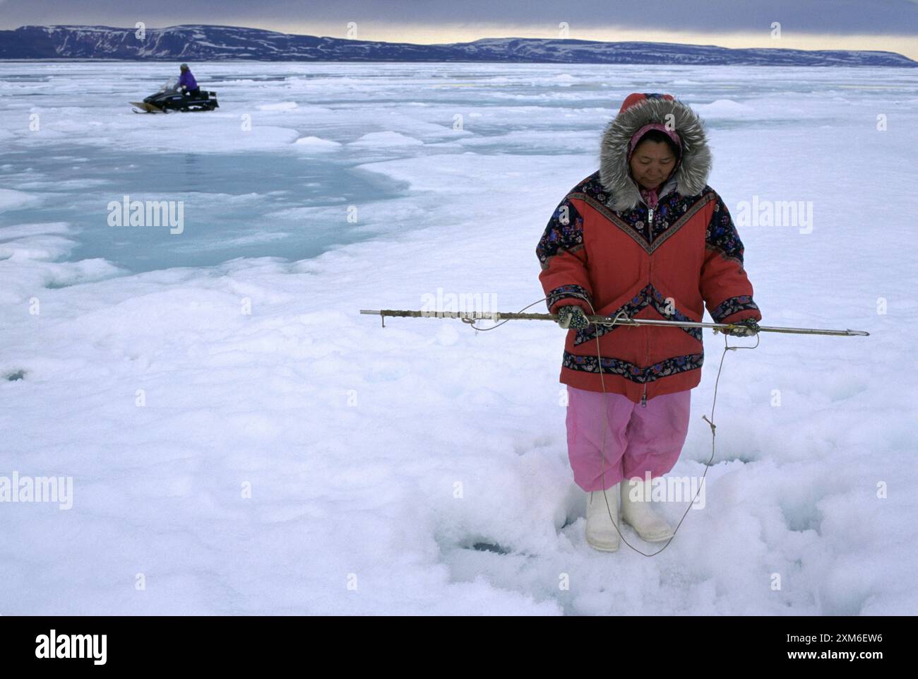 Canada seal hunt hi-res stock photography and images - Alamy