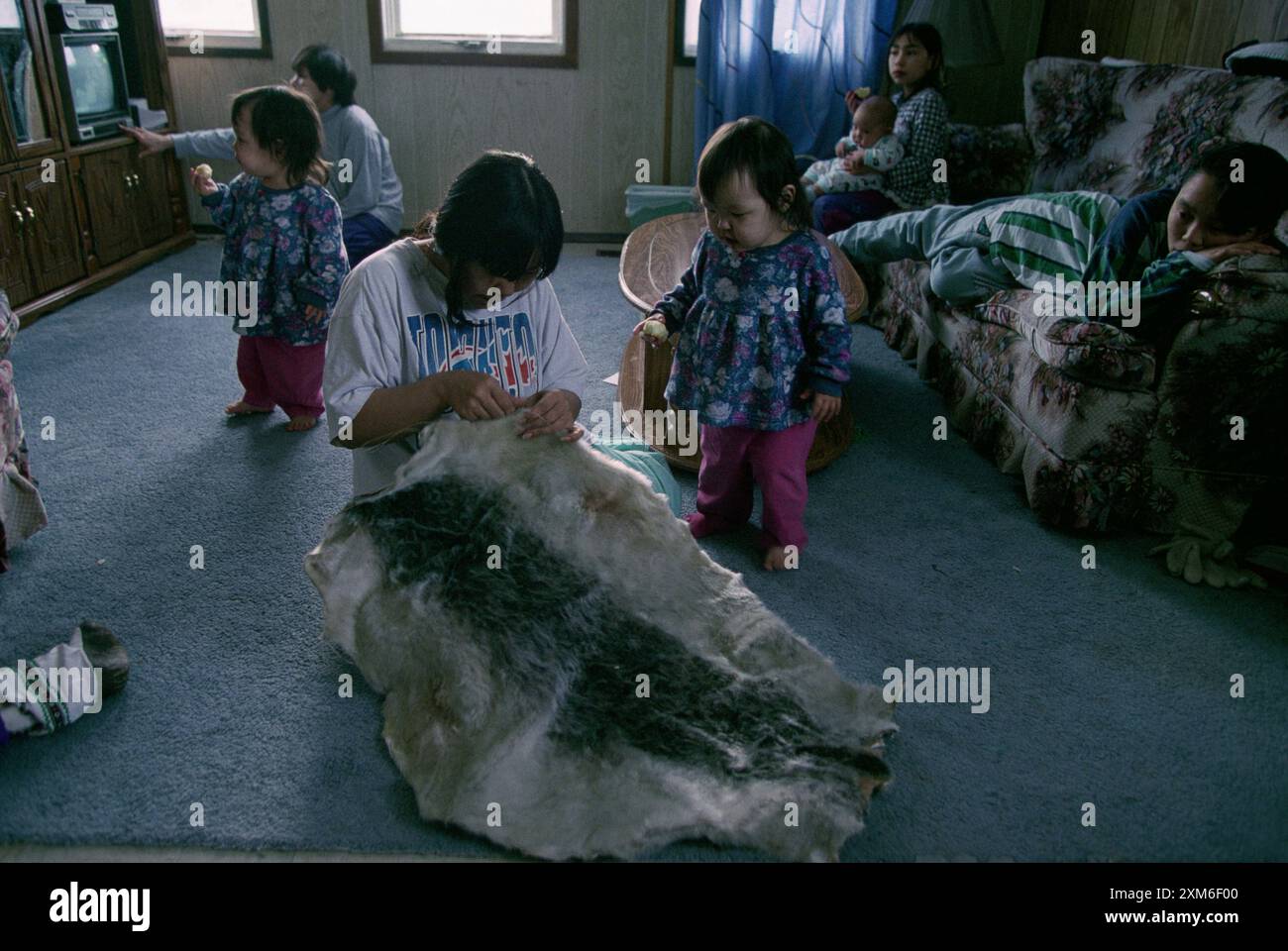 A woman preparing seal skin to make boots, Nunavut, Canada Stock Photo ...