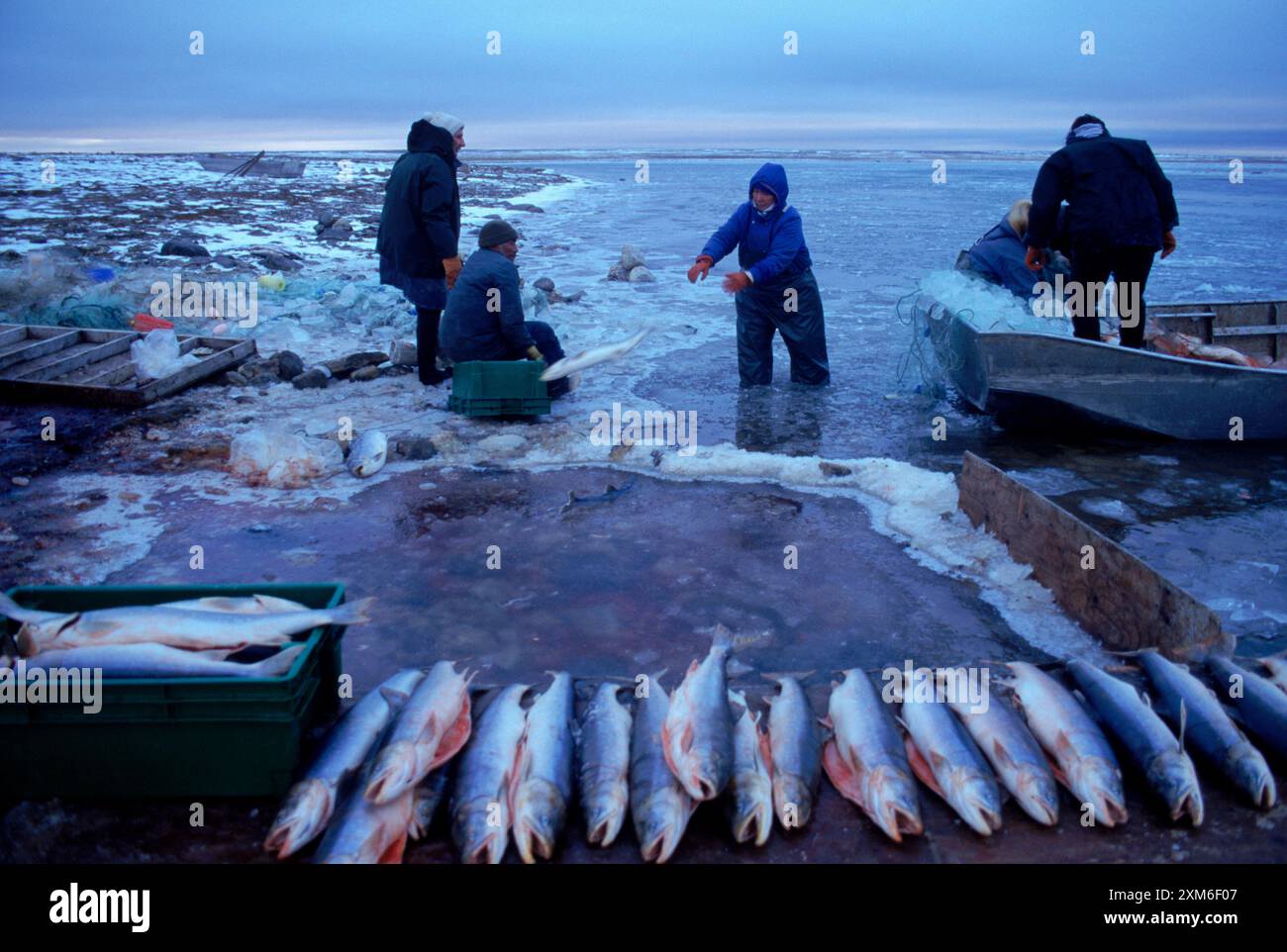 Stinky bay hi-res stock photography and images - Alamy