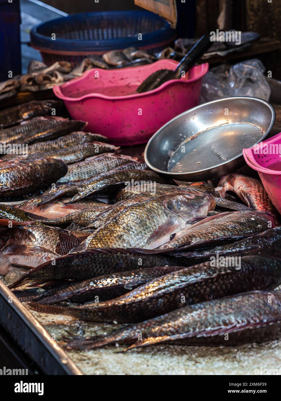 A close-up view of a pile of fresh fish on display at a market stall ...