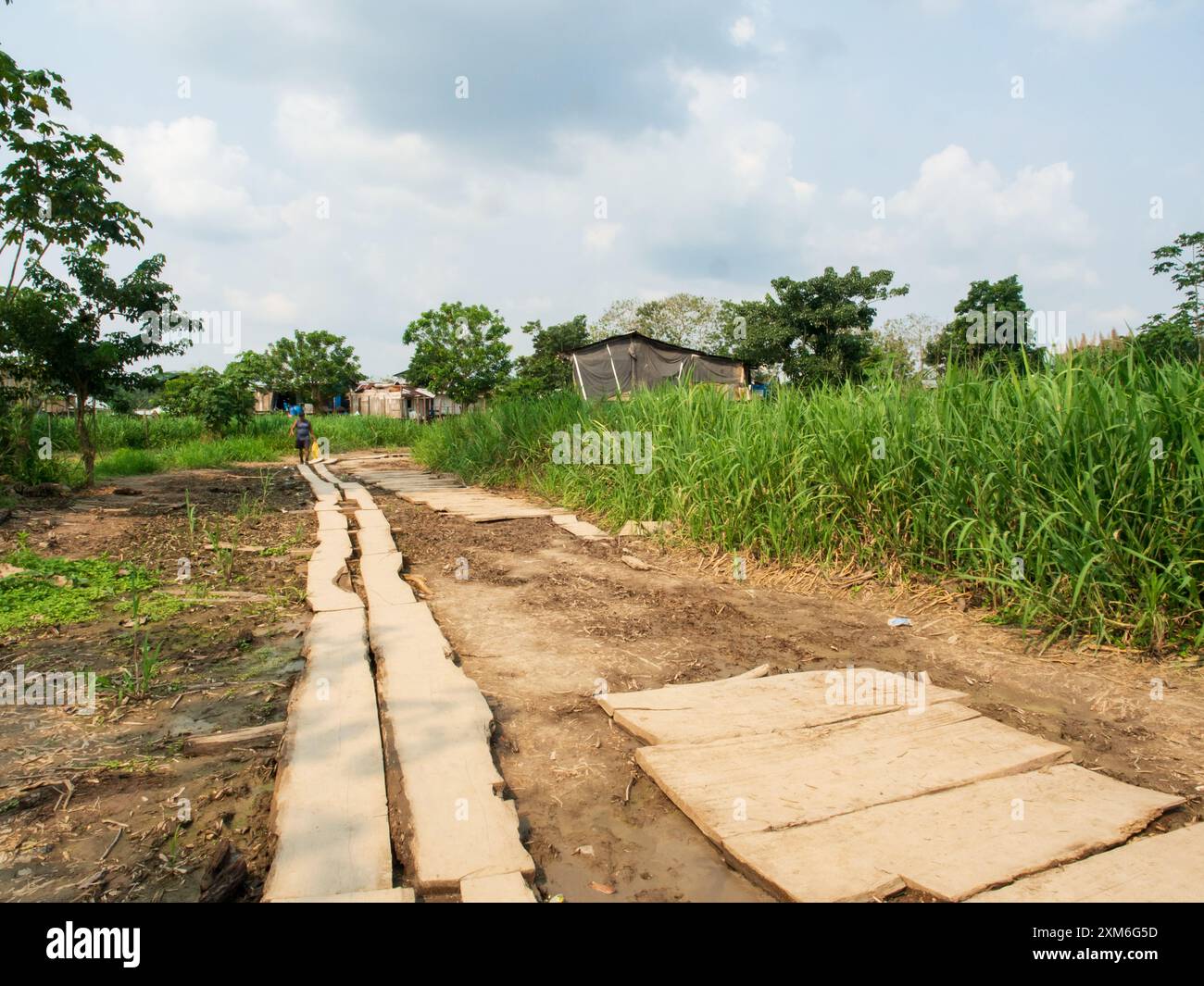 Amazon rainforest brazil bridge hi-res stock photography and images - Alamy