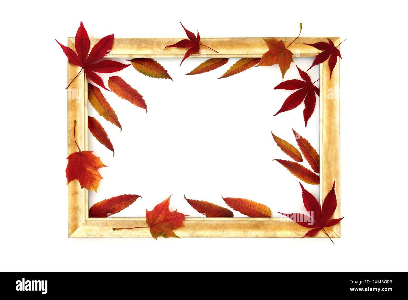 Minimal colorful border Cut Out Stock Images & Pictures - Alamy