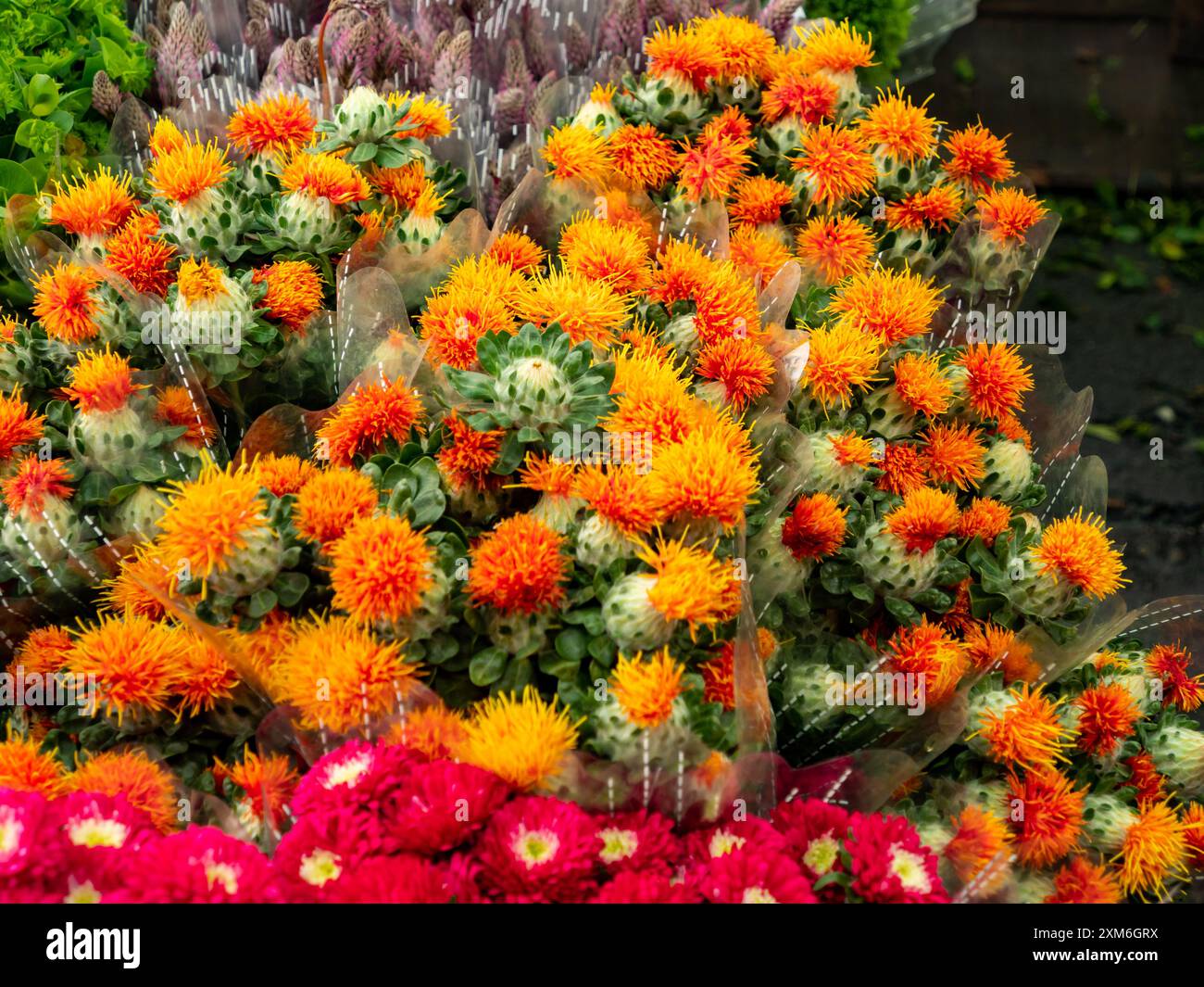 Bogota, Colombia - Dec, 2022: Variety of flowers at the Paloquemao ...