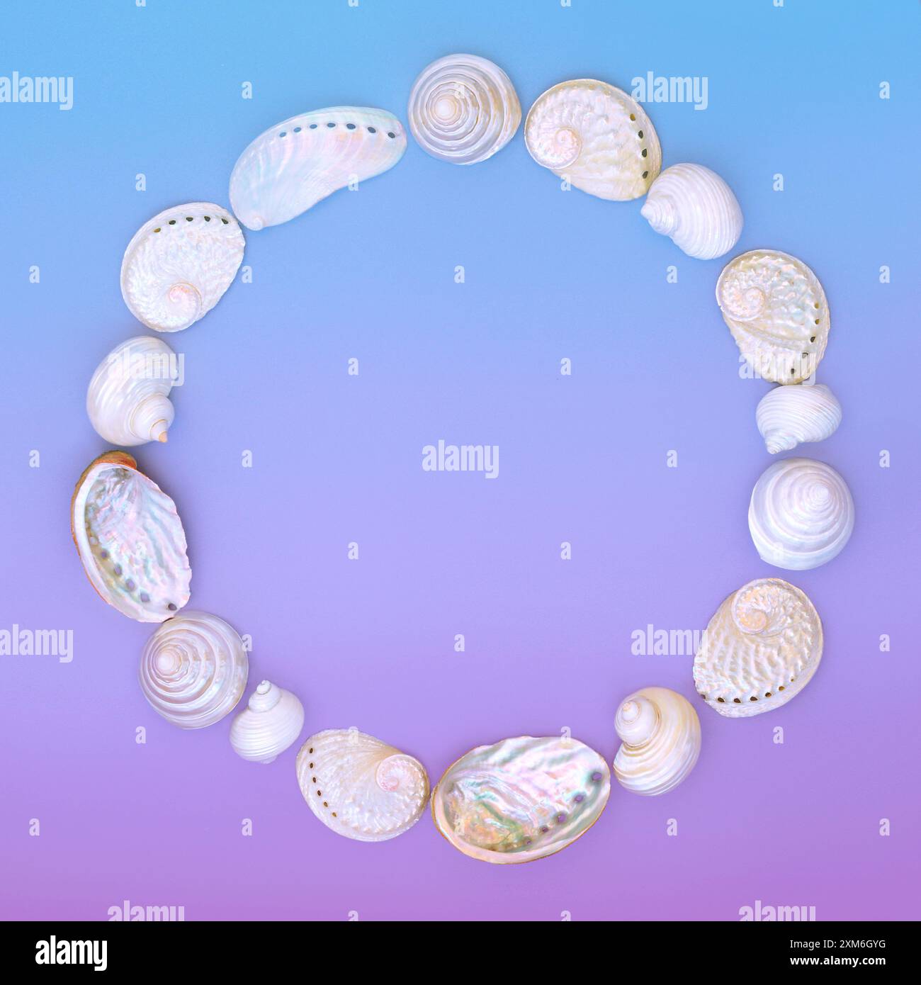 Mother of pearl seashell wreath on gradient blue purple background ...