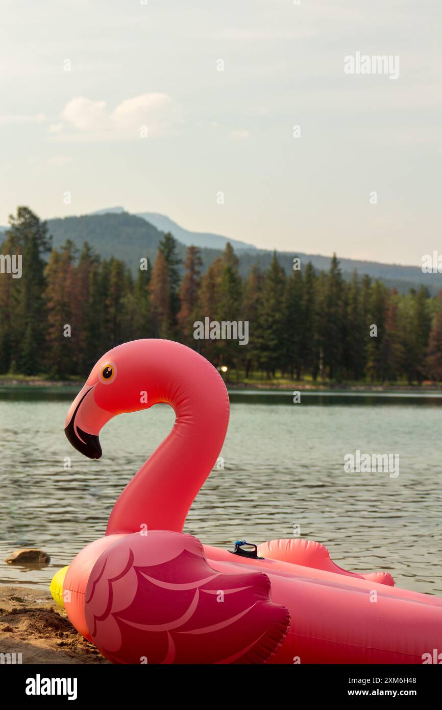 Giant Inflatable Flamingo On A Serene Lake Stock Photo - Alamy