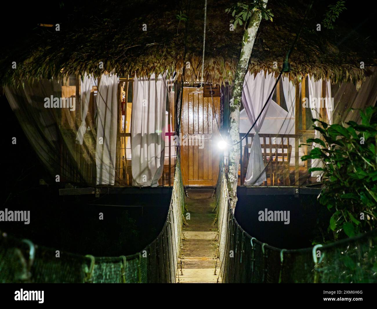 Glamping accommodation in the Amazon rainforest. Wooden treehouse ...