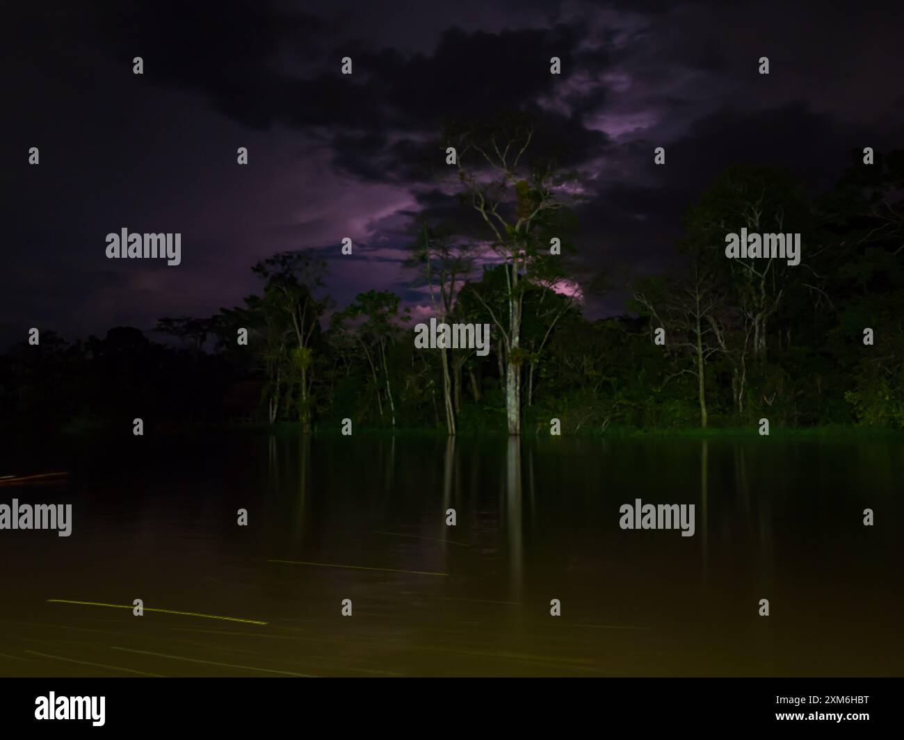 Amazon rainforest by night in the stormy weather, Amazonia. Peru, South ...