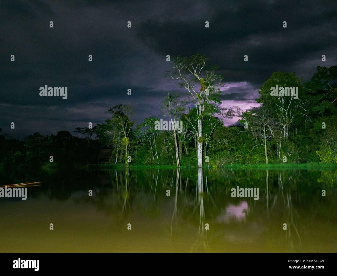 Amazon rainforest by night in the stormy weather, Amazonia. Peru, South ...