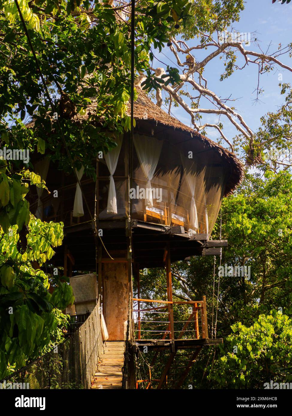 Glamping accommodation in the Amazon rainforest. Wooden treehouse ...