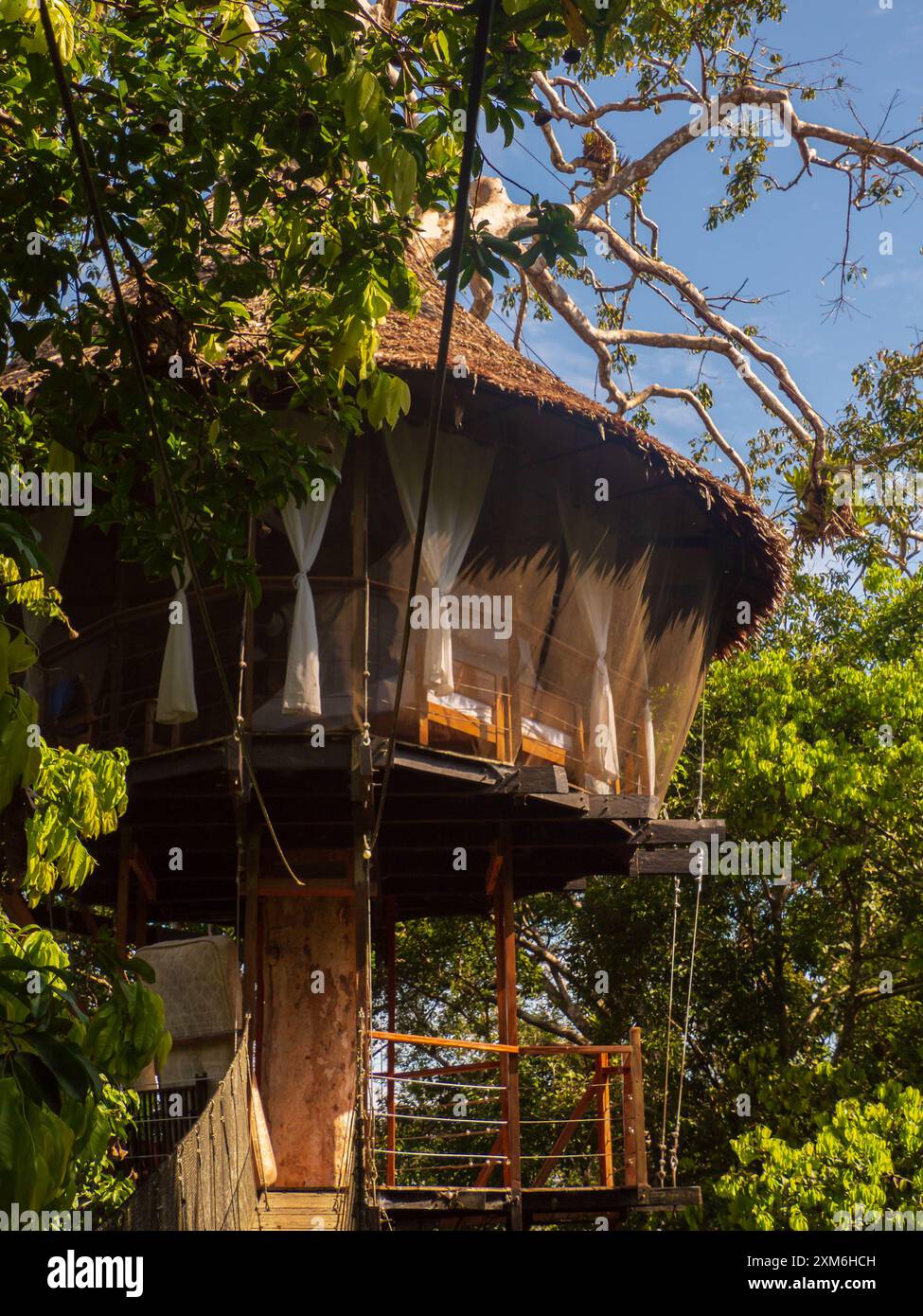 Glamping accommodation in the Amazon rainforest. Wooden treehouse ...