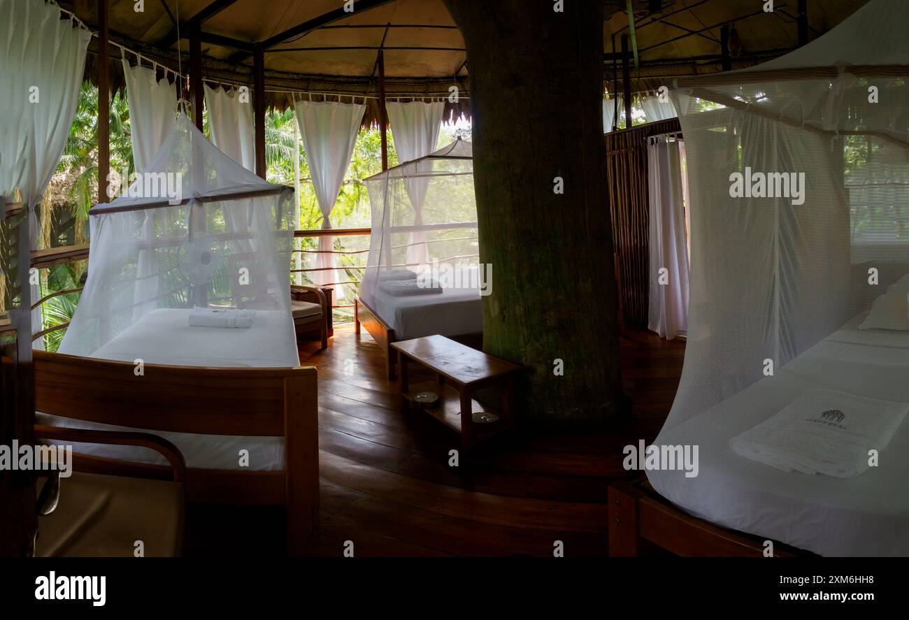Nauta, Peru - Apr, 2022: Glamping accommodation in the Amazon ...