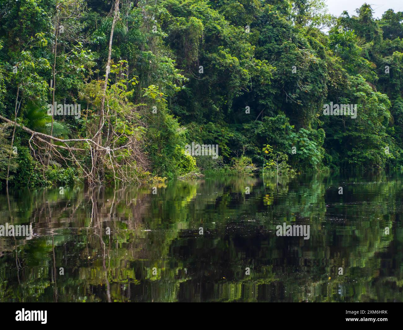 The Marañón River (Maranon) in Reservas Nacional Pacaya Samiria ...