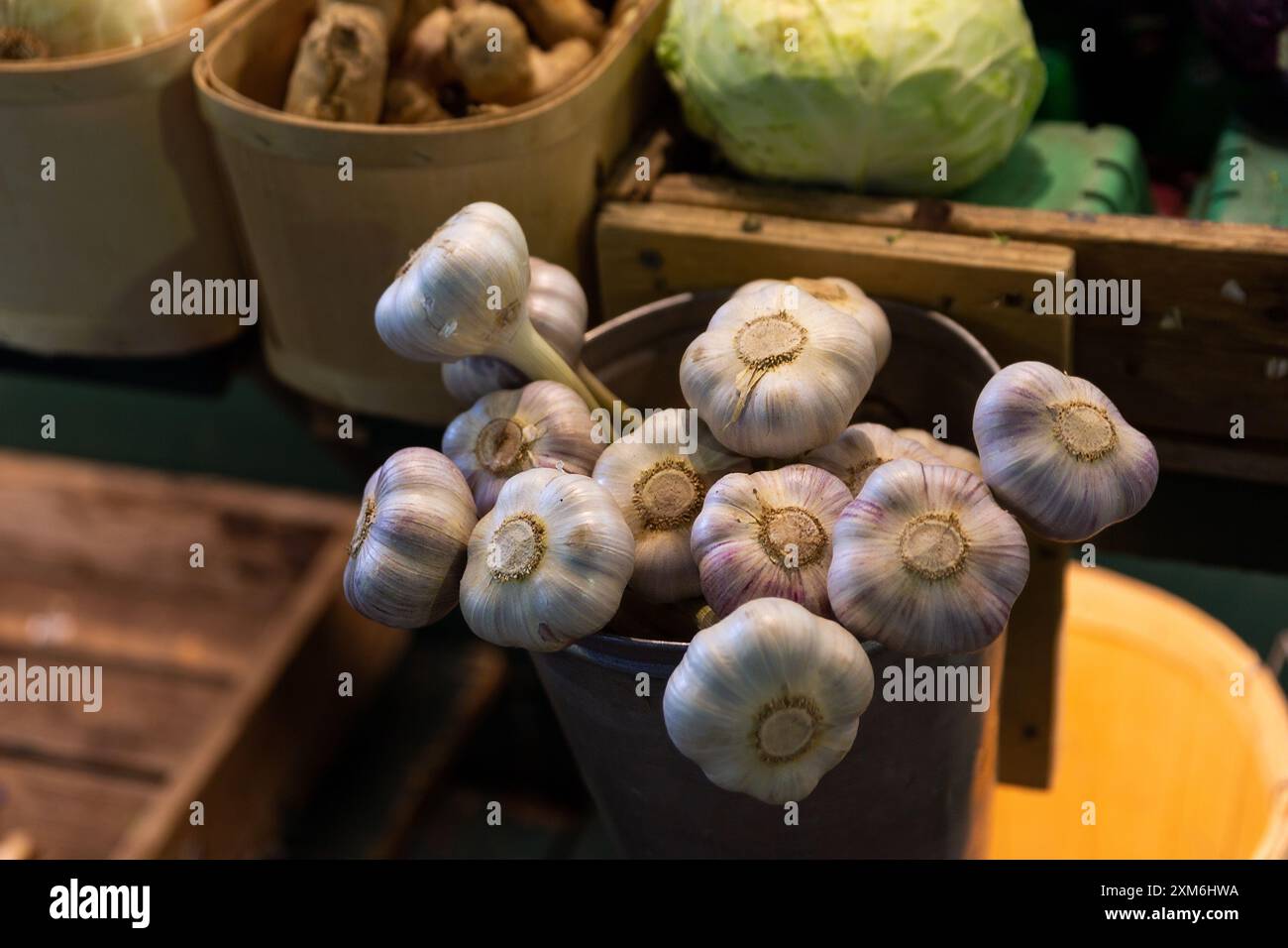 Fresh Garlic Bulbs Displayed at Local Farmers Market Stand Stock Photo ...