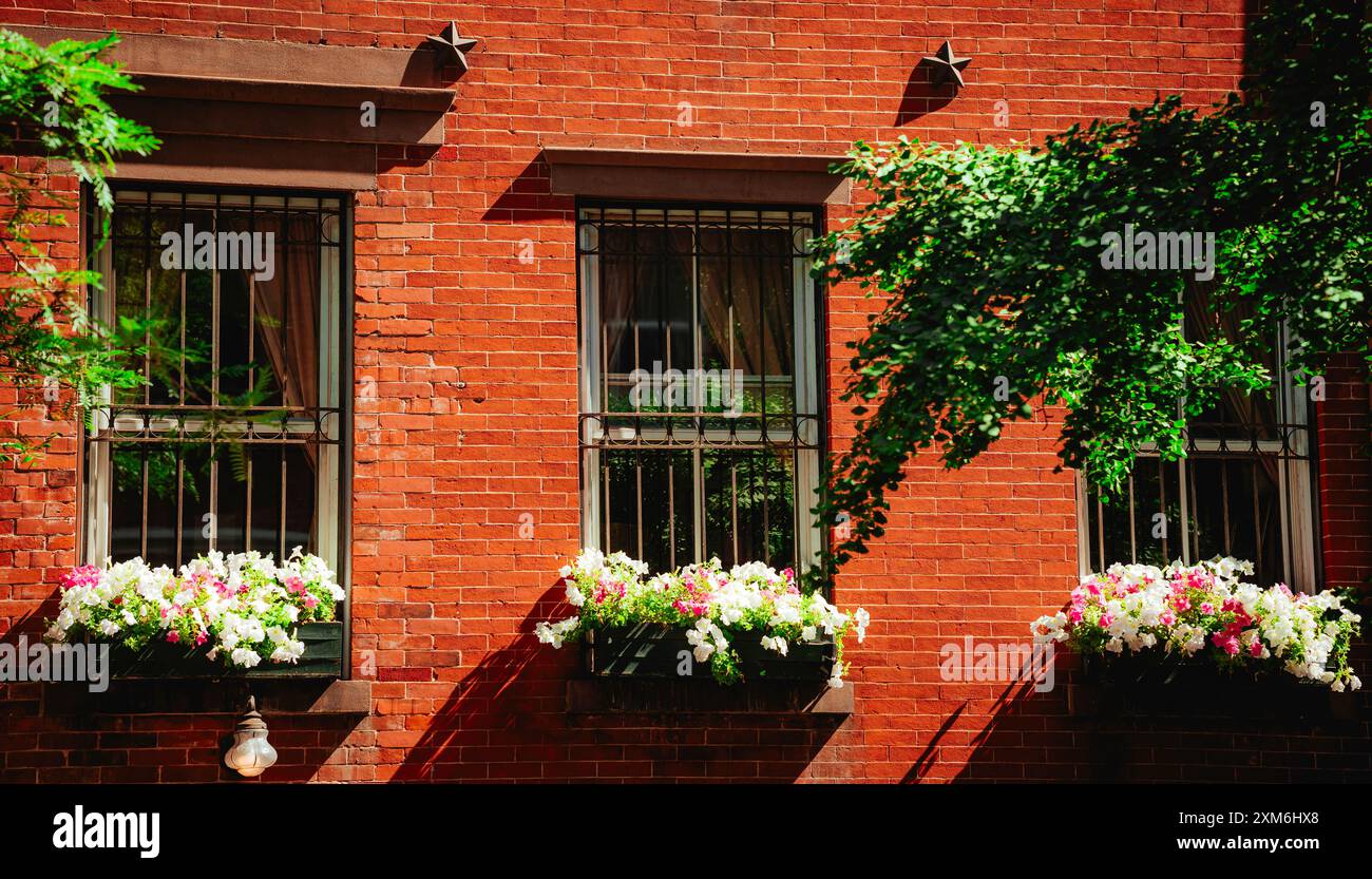 window with flowers old New York street Tribeca Stock Photo - Alamy