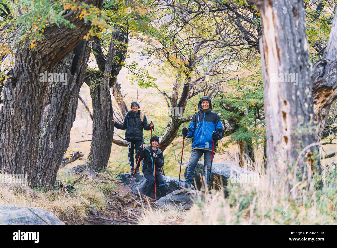 Group people walking through woods hi-res stock photography and images ...