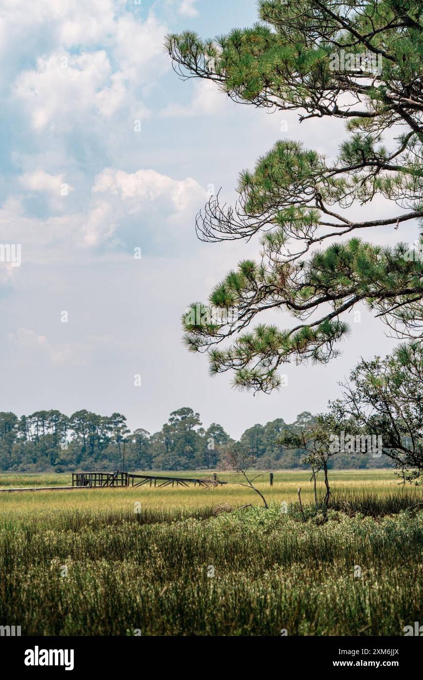 A dock in the marsh Stock Photo - Alamy