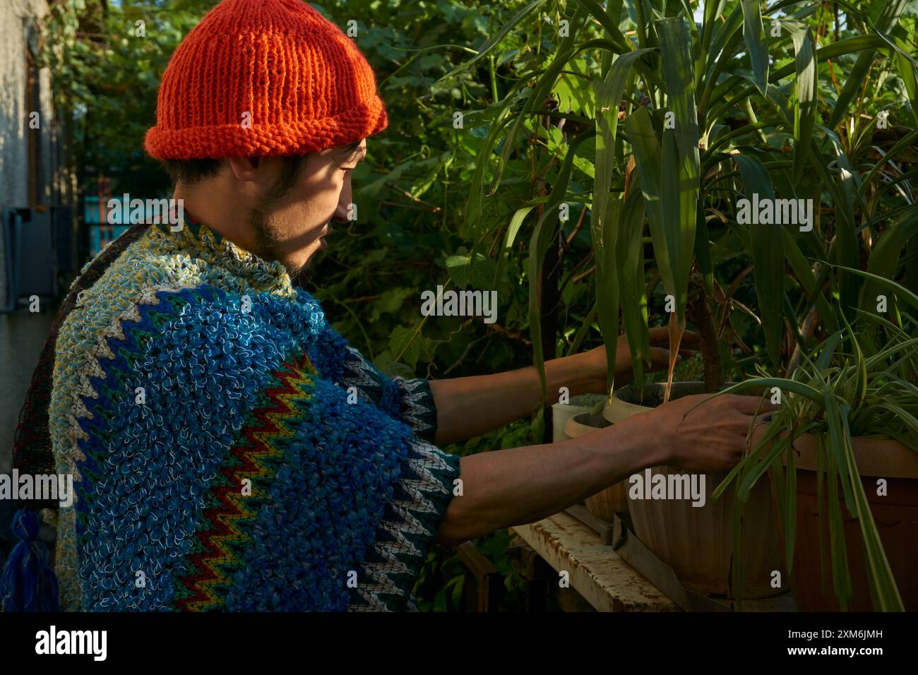 man in a poncho looks at a plant Stock Photo - Alamy