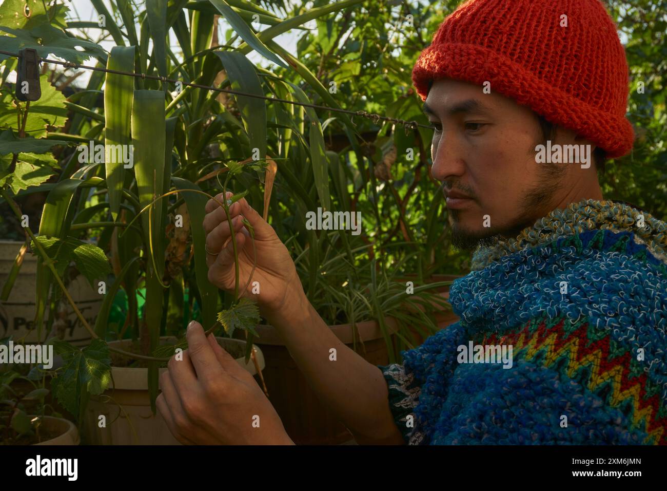 Poncho hi-res stock photography and images - Alamy