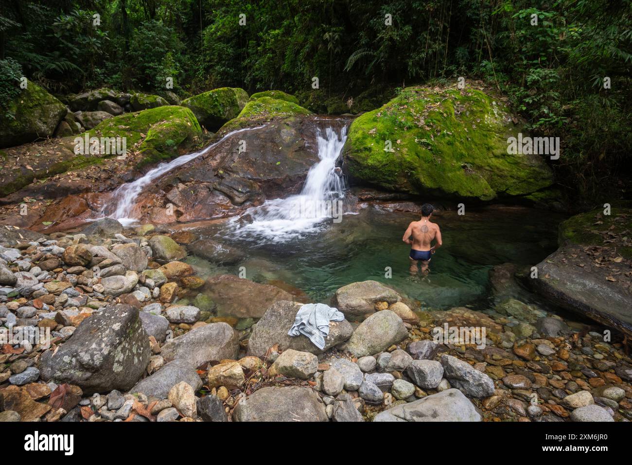 Man bathing on beautiful green waterfall in Atlantic Rainforest Stock ...