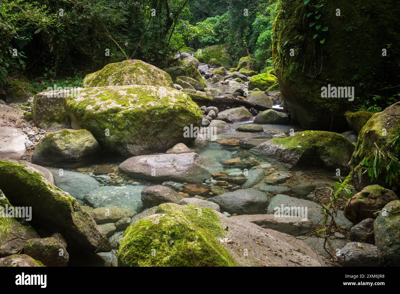 Beautiful mountain rainforest waterfall hi-res stock photography and ...