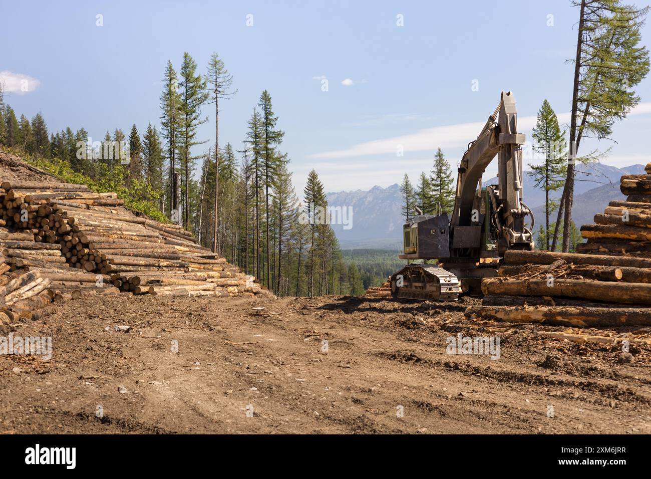 Heavy machinery piles logged burnt timber after wildfire in BC Stock ...