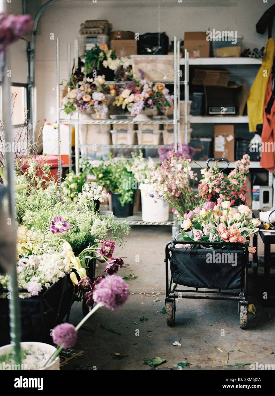 Flower shop interior with various floral arrangements and supplies ...