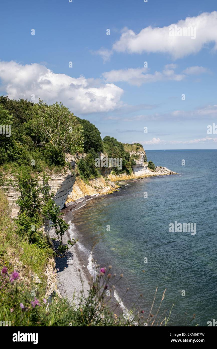 Cliffs of Stevns Klint in Denmark Stock Photo - Alamy