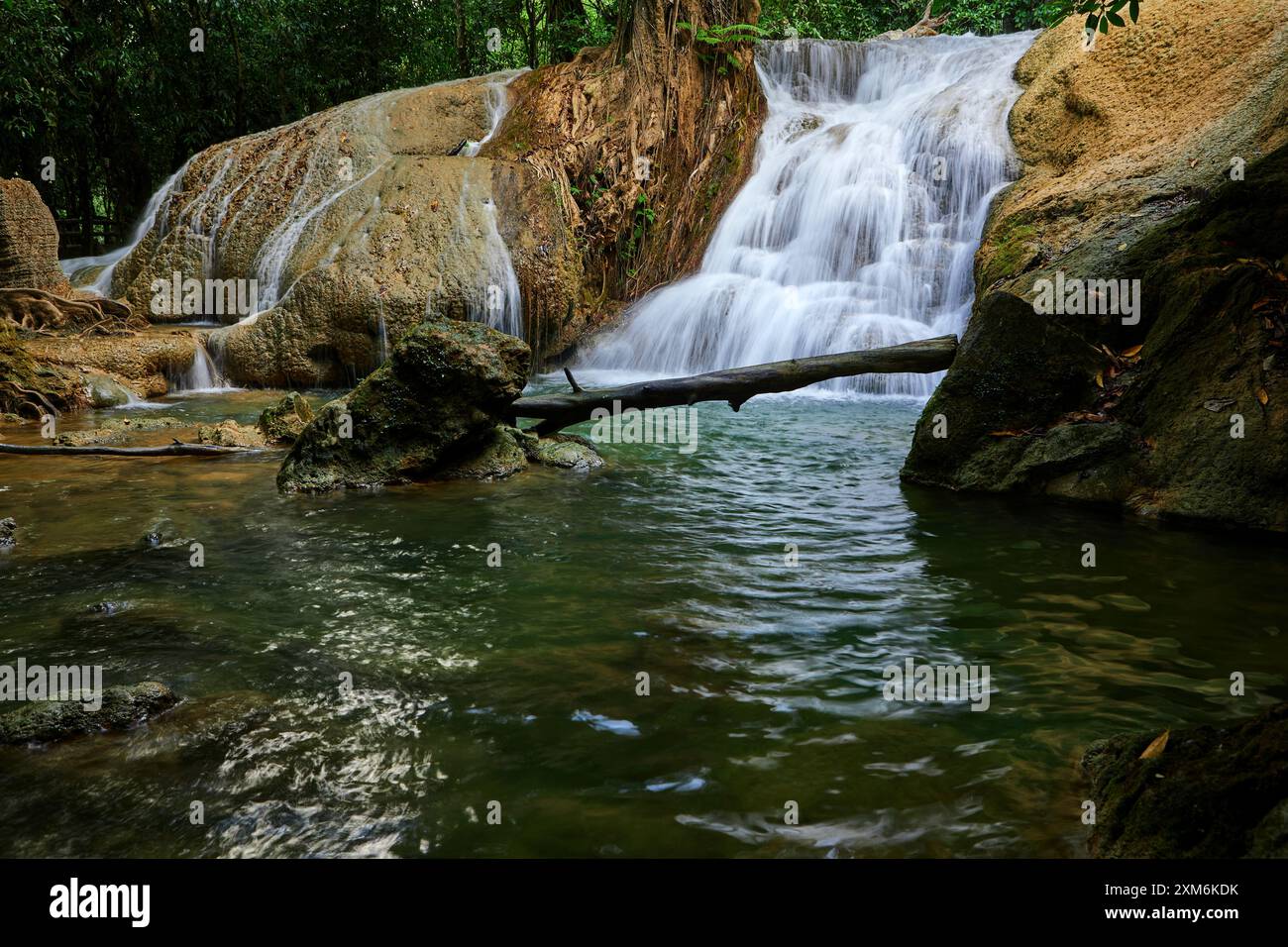 Scenic view of waterfall in forest Stock Photo - Alamy