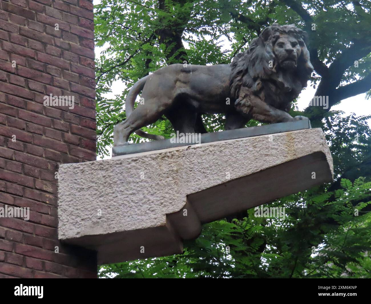 Bergischer loewe hi-res stock photography and images - Alamy