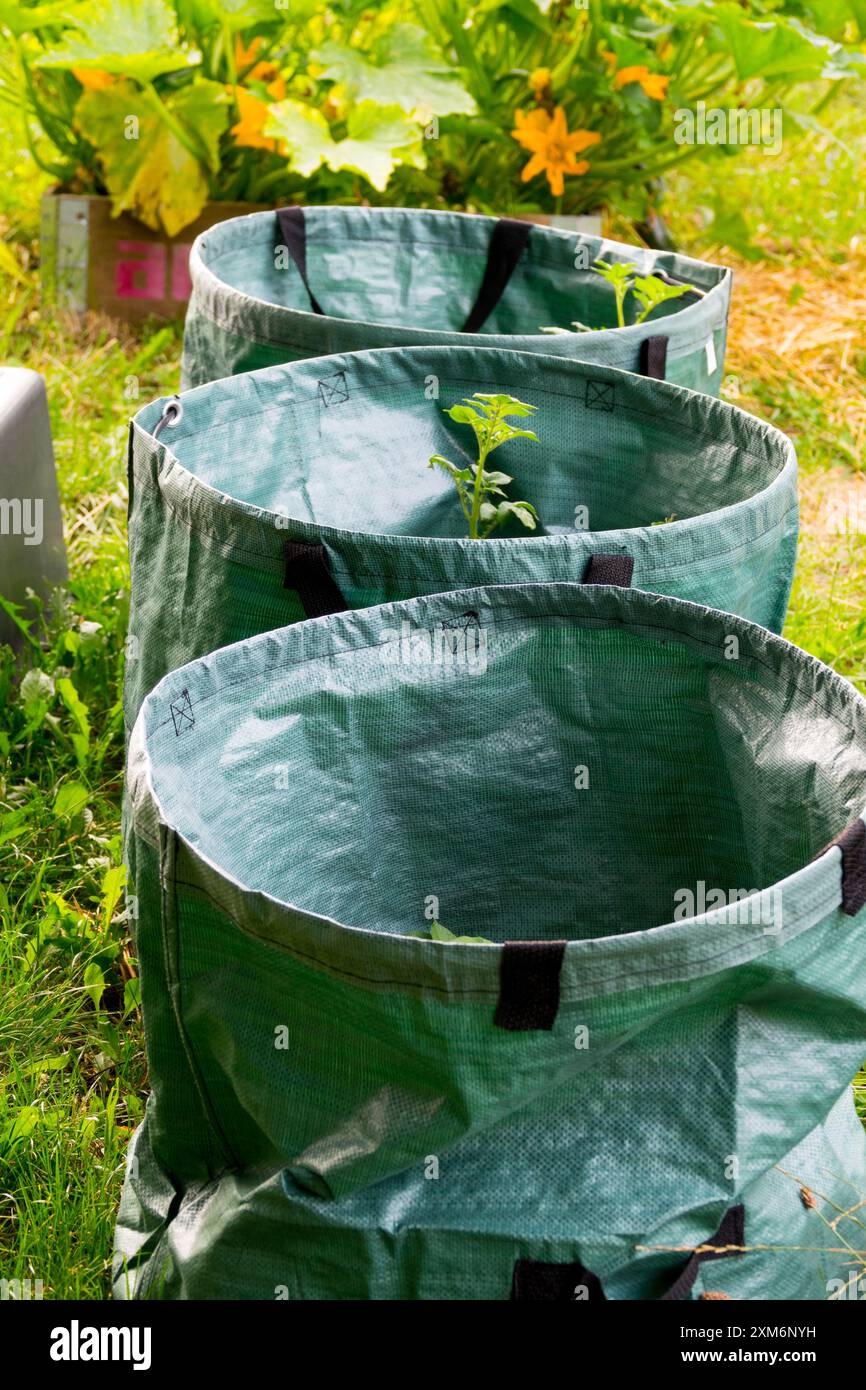 Light fabric sacks for various uses in the garden Stock Photo - Alamy