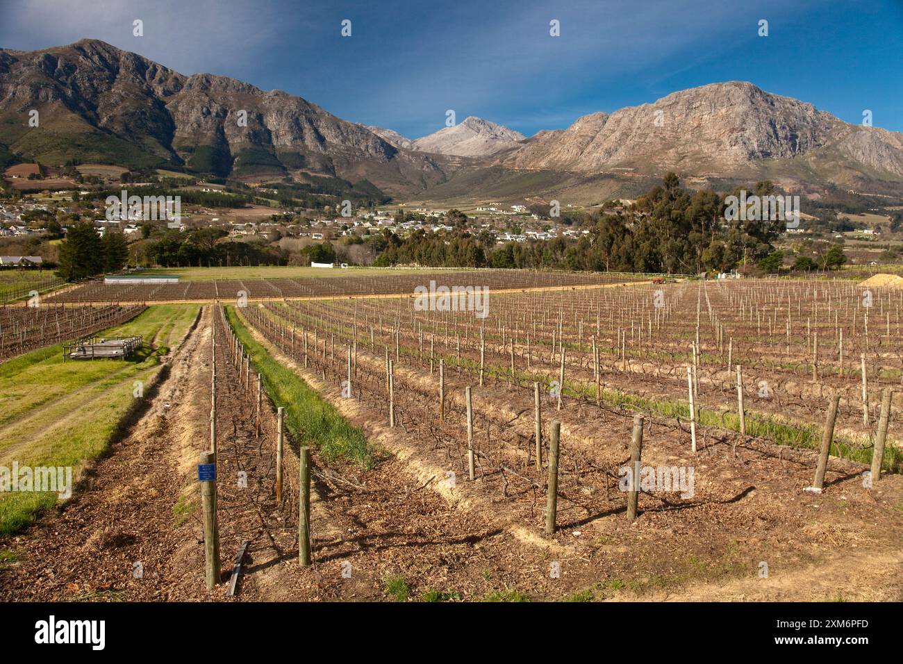Mont rochelle winery hi-res stock photography and images - Alamy