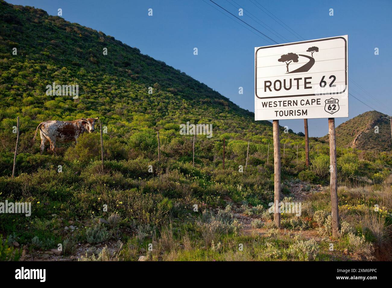 Route 62 sign hi-res stock photography and images - Alamy