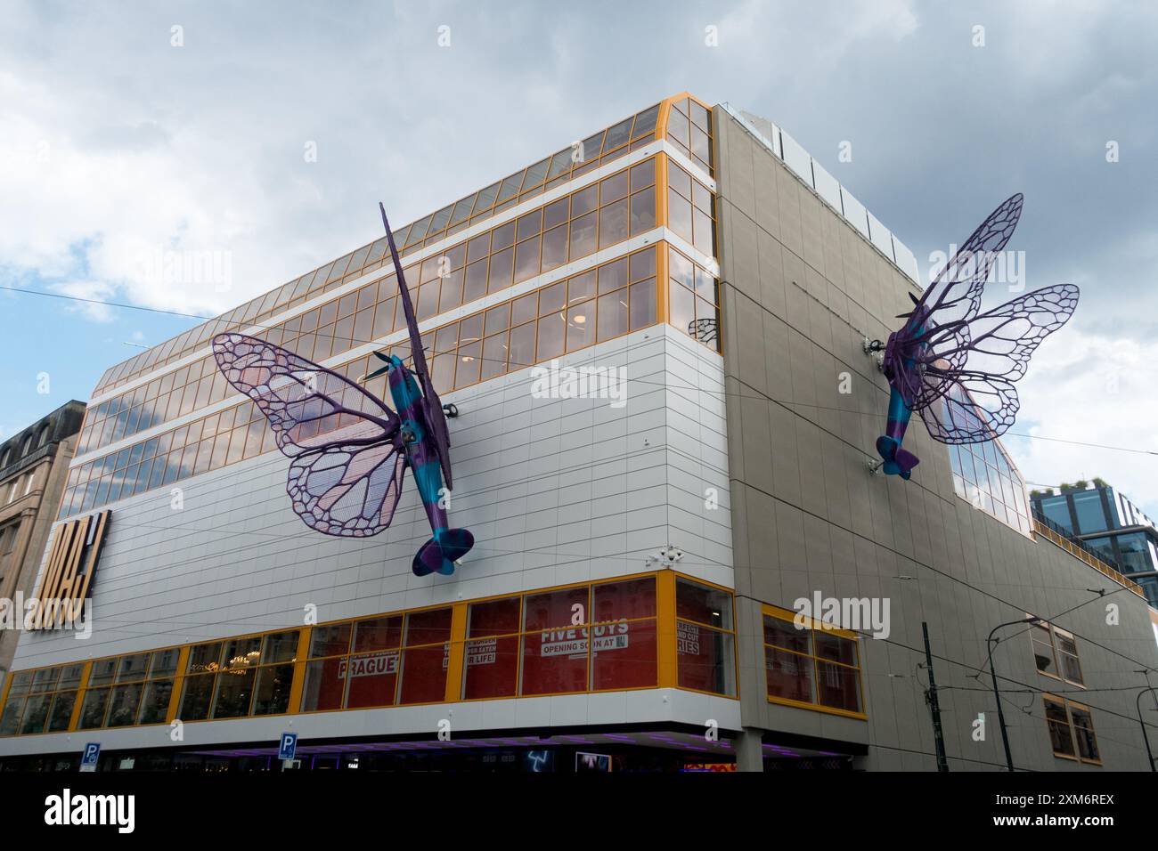 Spitfires butterflies moving wings hi-res stock photography and images ...