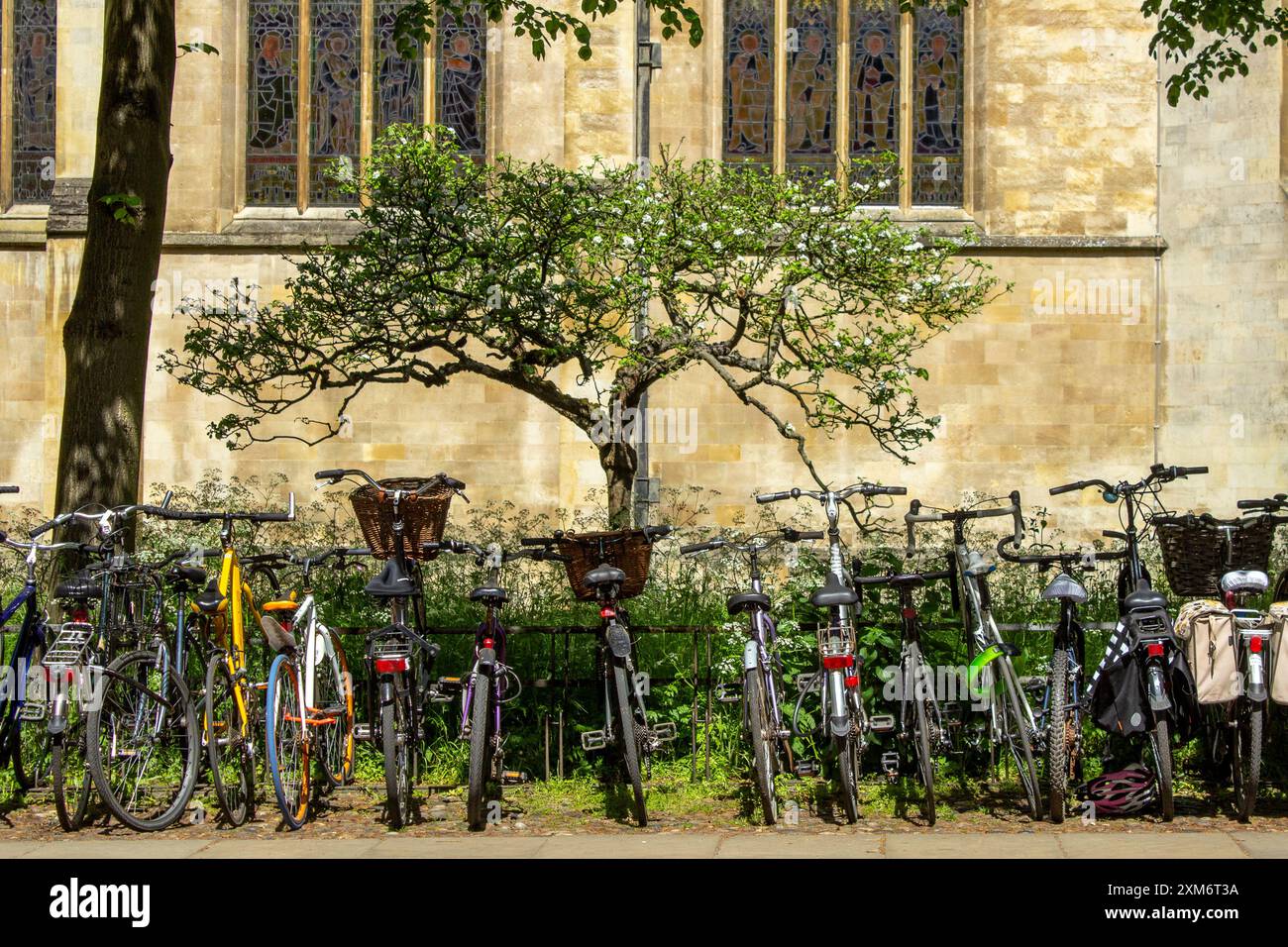 A line of bicycles locked up on cycle stands in Cambridge, England ...