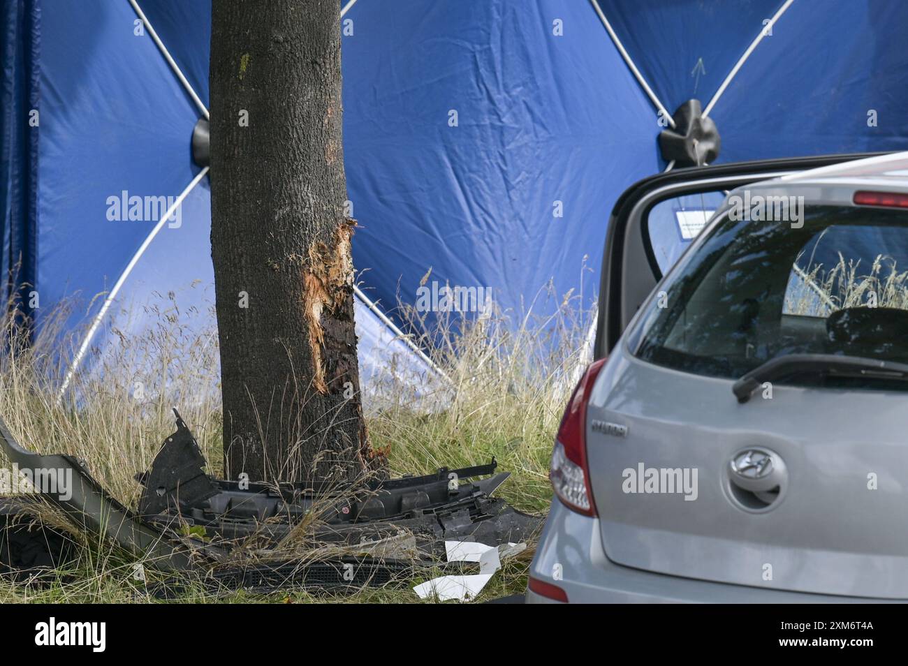 Car vs tree hi-res stock photography and images - Alamy