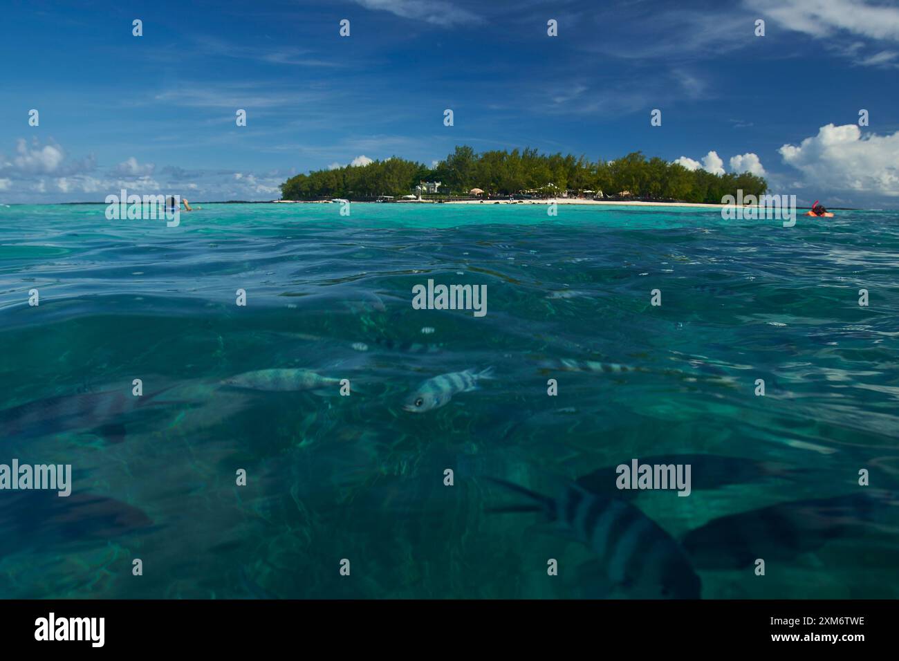 Africa, Mauritius Island, Indian Ocean, Blue Bay, snorkeler with lots ...