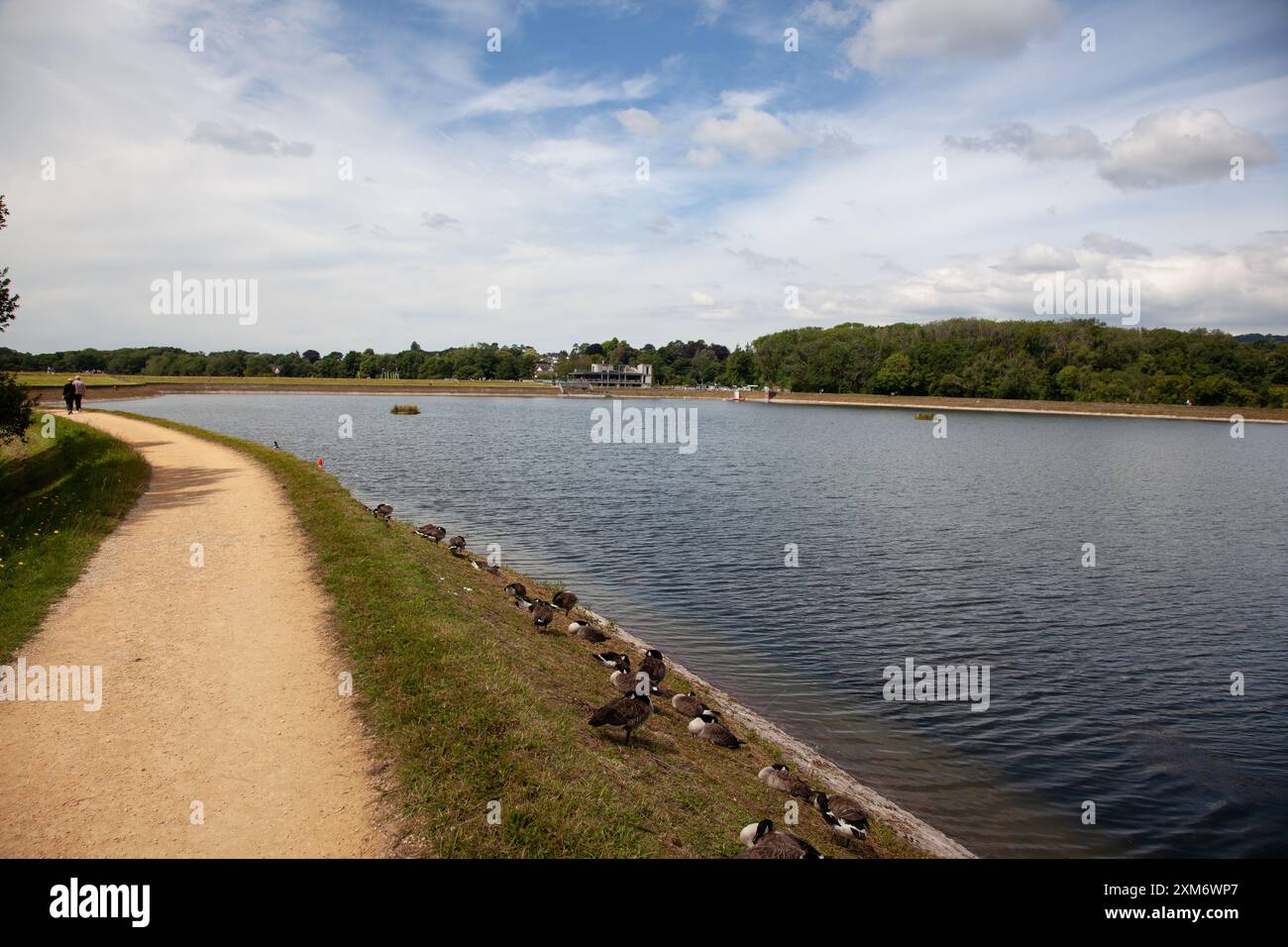 Lisvane hi-res stock photography and images - Alamy