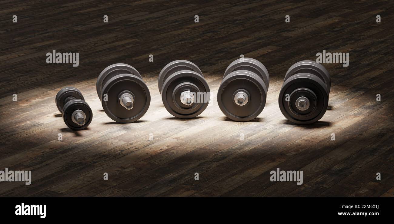 Several dumbbells in a row with incremental weights on a hardwood floor ...