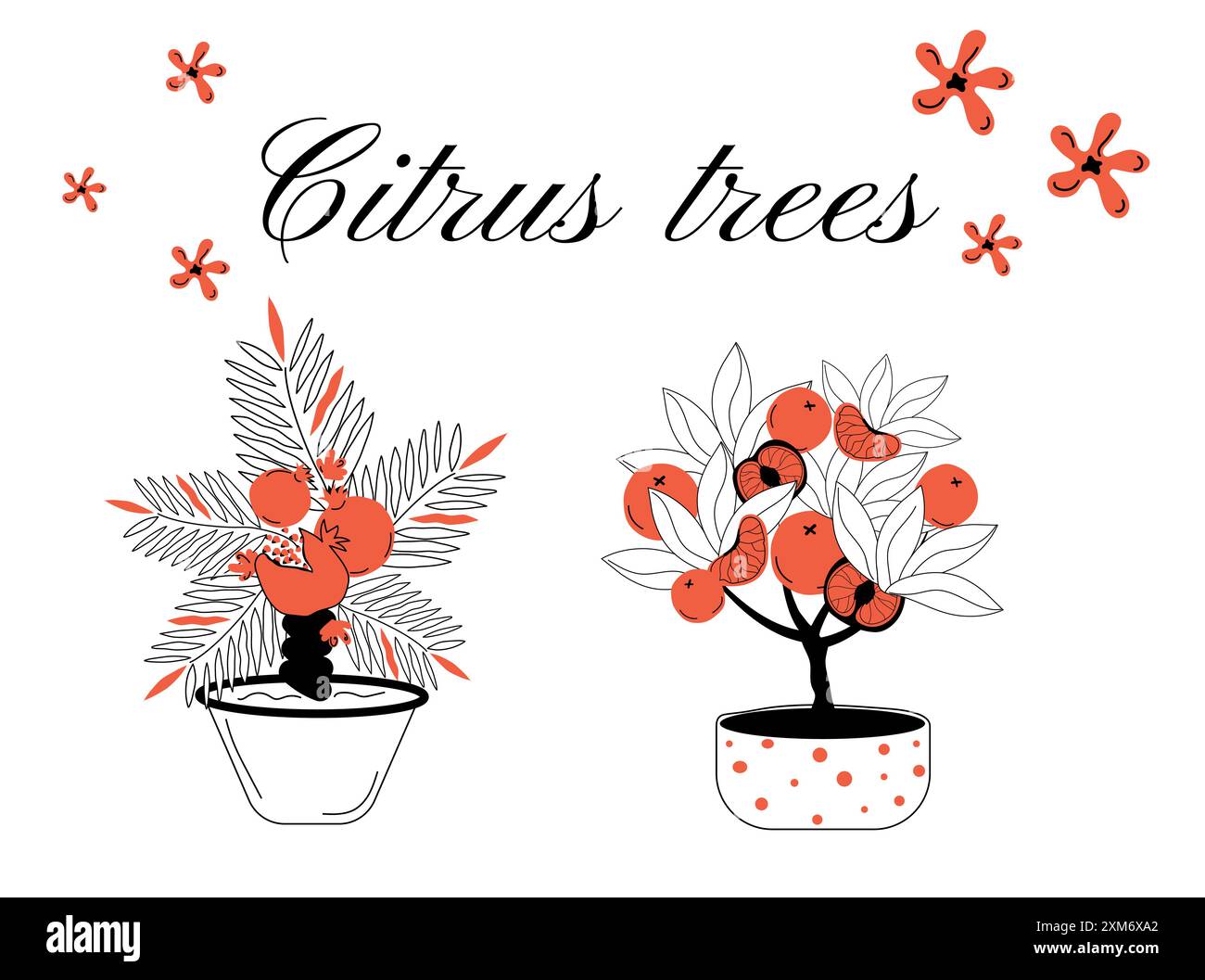 Illustration of vibrant Potted Citrus Trees with Blooming Flowers in a ...