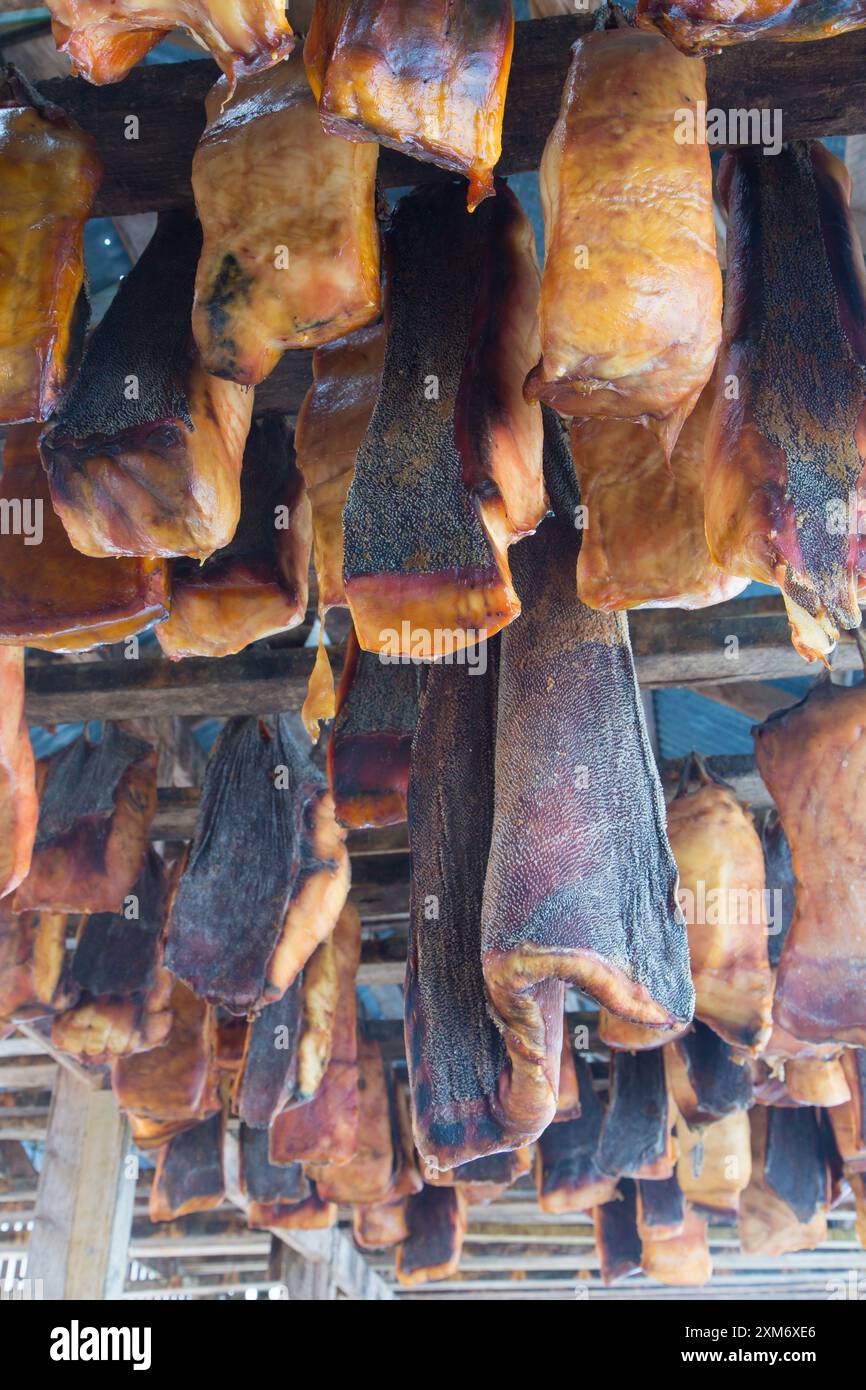 Greenland shark, Somniosus microcephalus, shark meat hanging to become ...