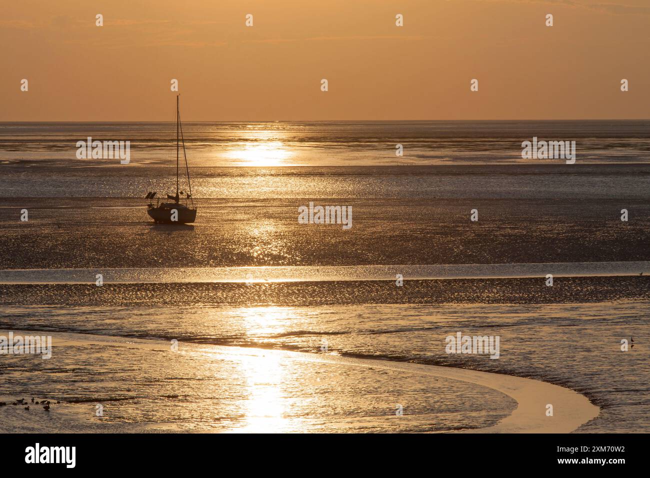Sailing boat in the Wadden Sea, Wadden Sea National Park, Pellworm ...