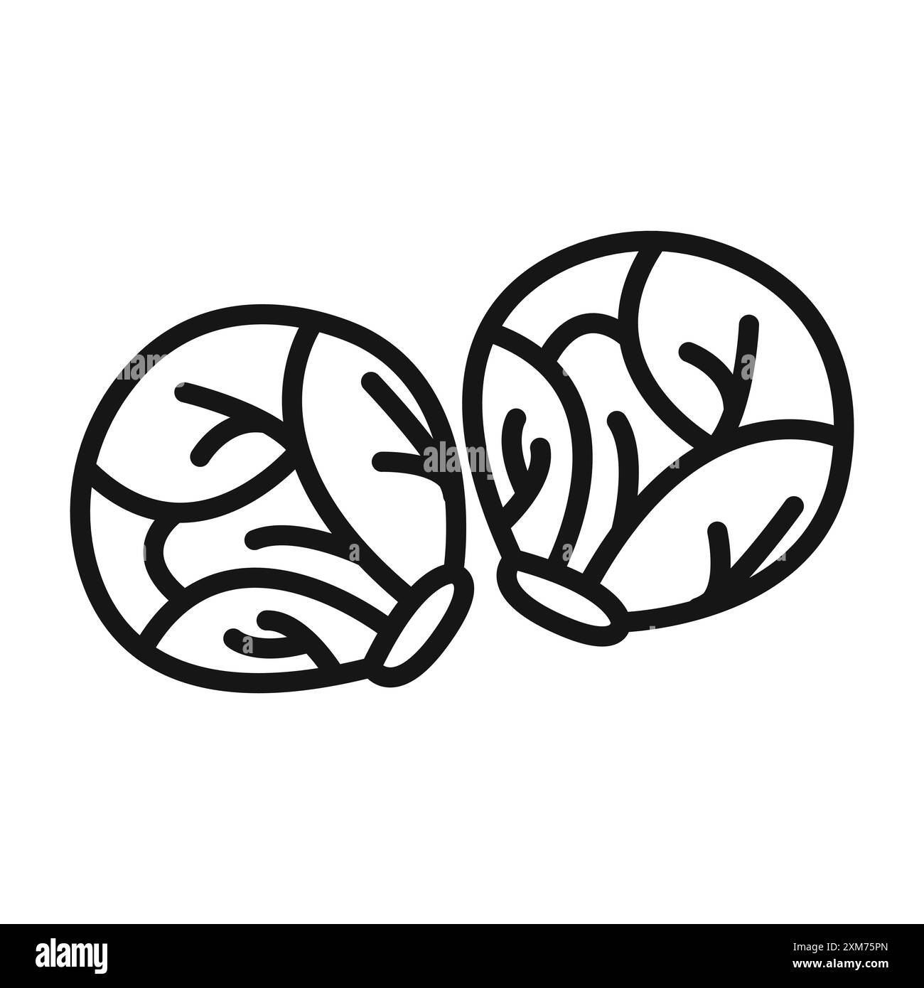 Brussels sprouts Cabbage icon Black line art vector in black and white ...