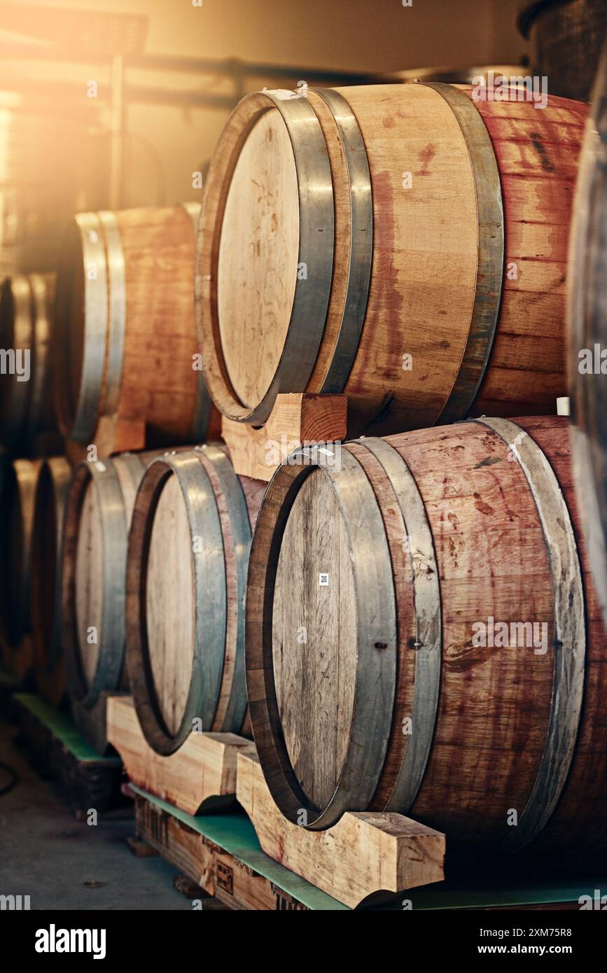 Barrels, wine cellar and storage of alcohol in distillery ...