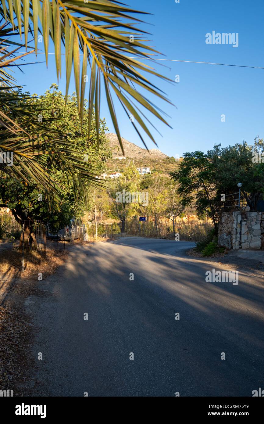 Street in Crete with a palm tree Stock Photo - Alamy