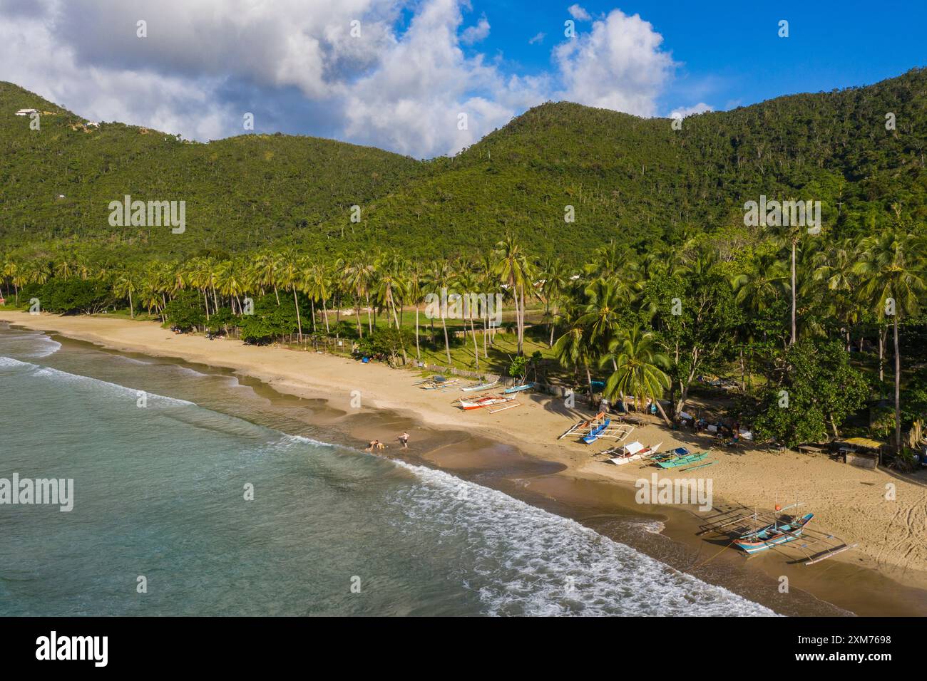 Aerial view of Nagtabon Beach with coconut trees, Bacungan, near Puerto ...