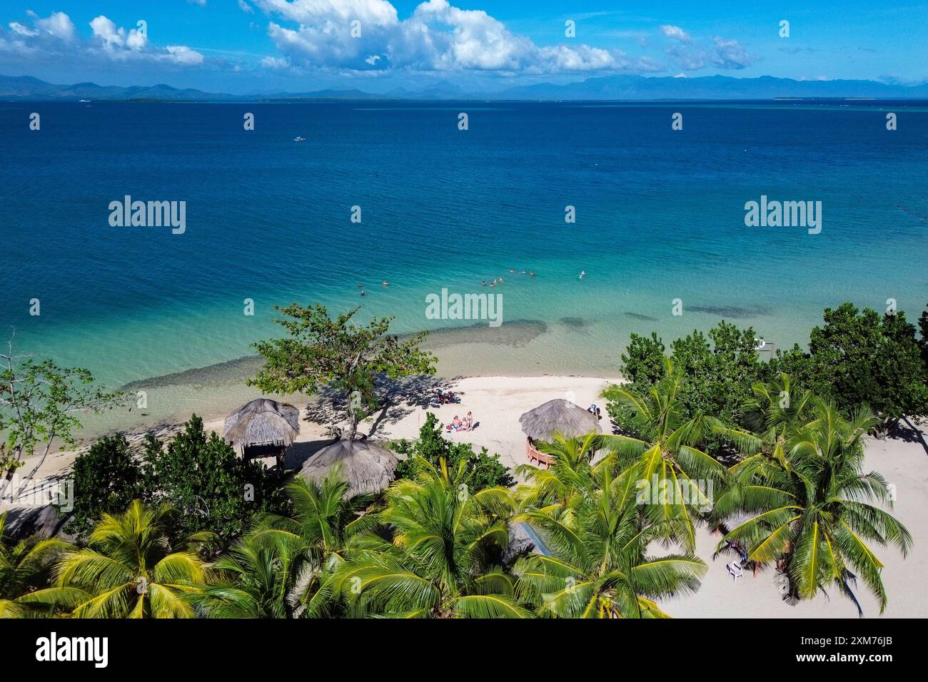 Aerial view of coconut trees and beach on Cowrie Island, Honda Bay ...